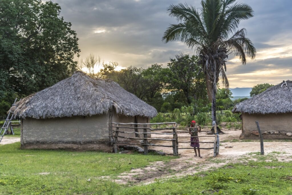 Estratégia - Fundo Ecos